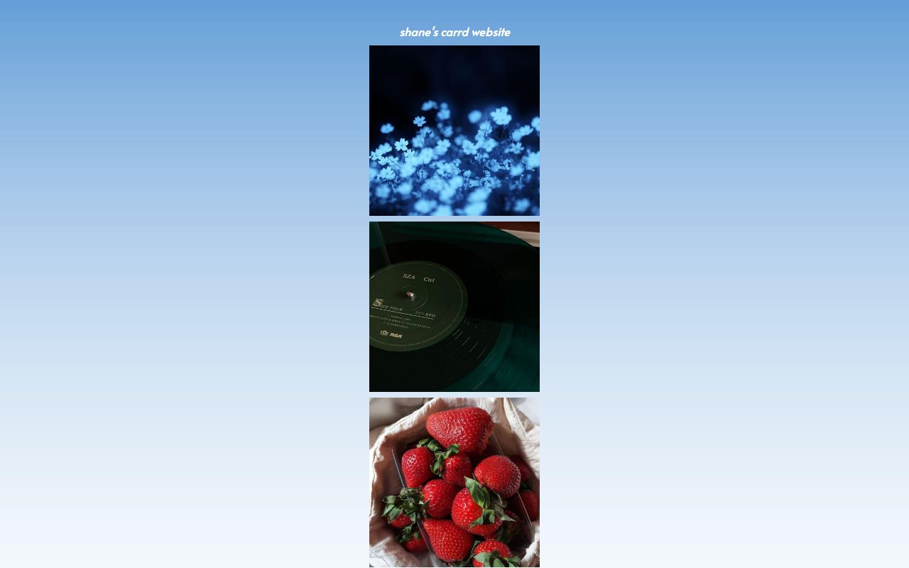 shane's carrd website :))